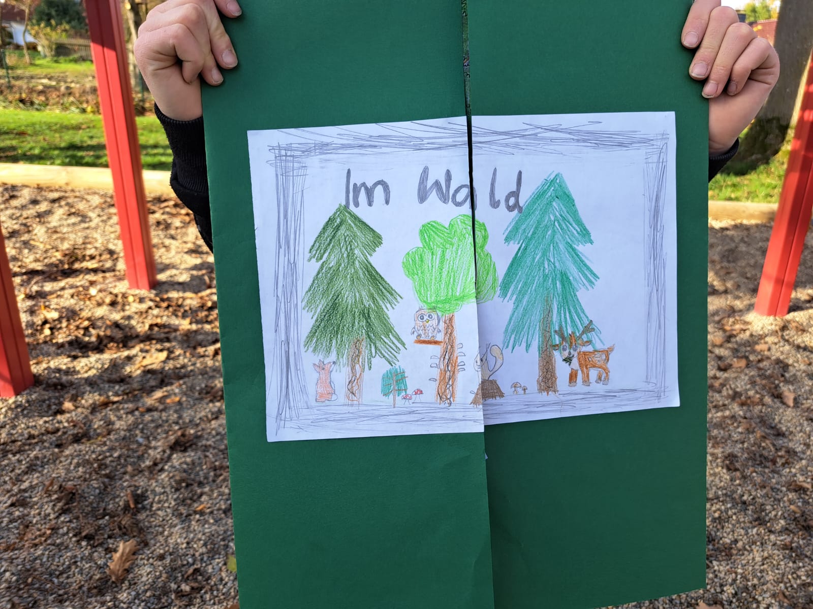 Wald-Lapbook (Klasse 3) – Grundschule Rengshausen